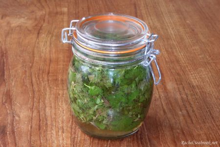 Herbal remedies: Stinging nettles - Rachel Seabrook