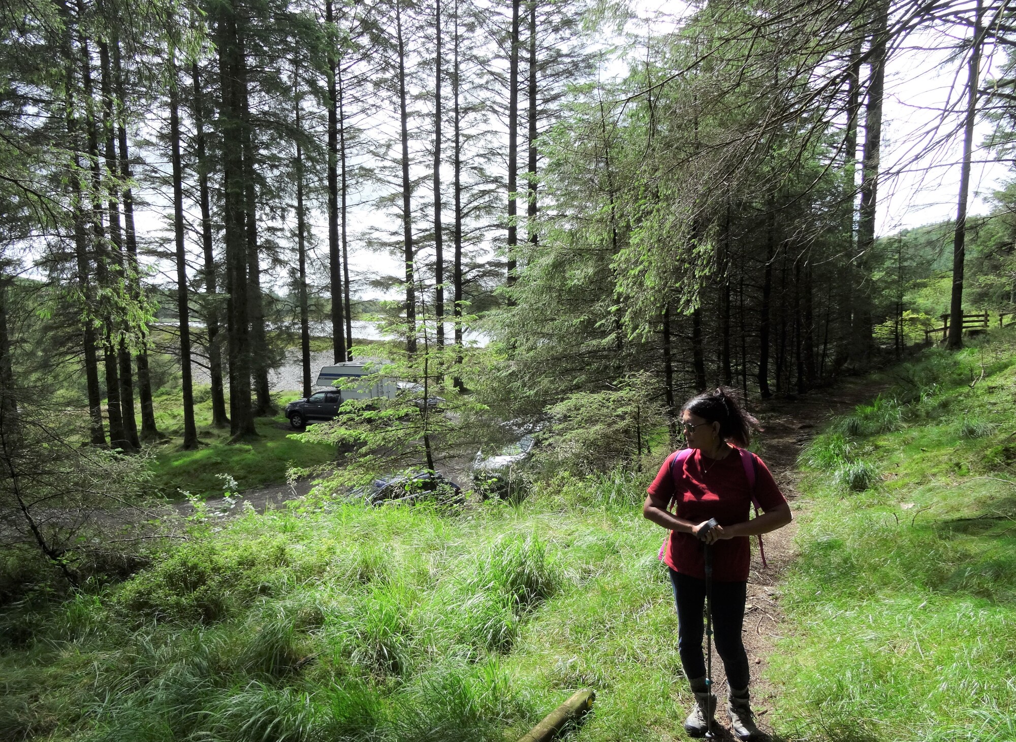 Craig y Pistyll Gorge and Llyn Syfydrin - Rachel Seabrook