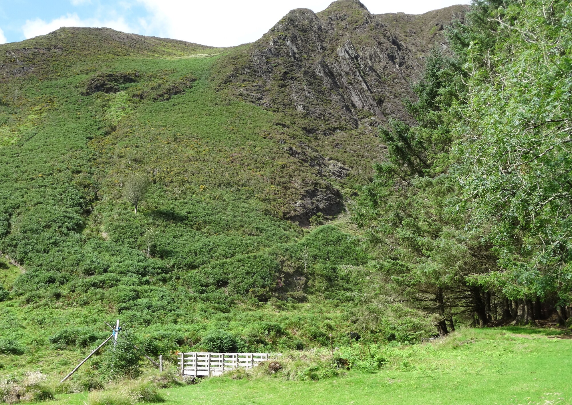 Craig y Pistyll Gorge and Llyn Syfydrin - Rachel Seabrook