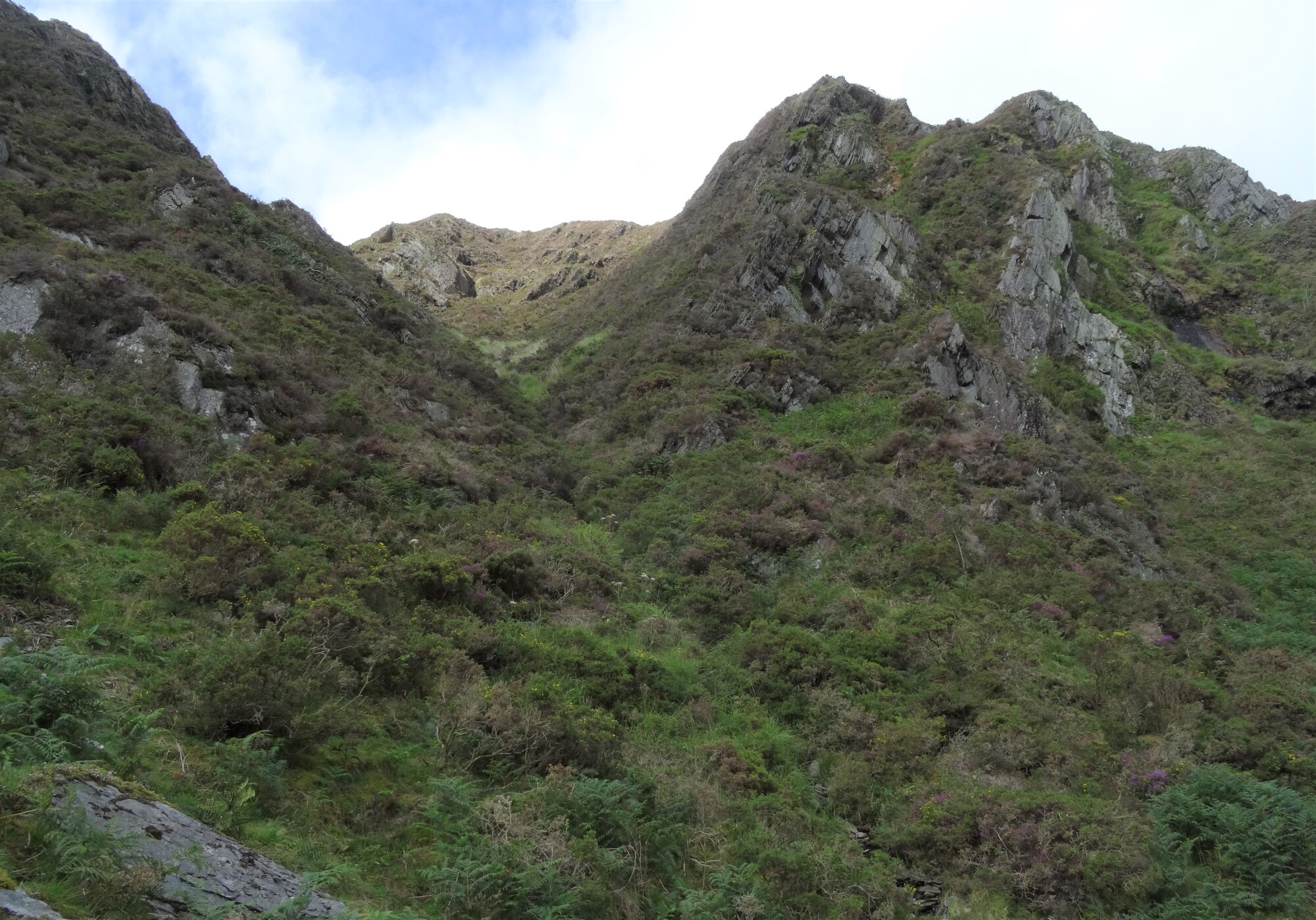Craig y Pistyll Gorge and Llyn Syfydrin - Rachel Seabrook