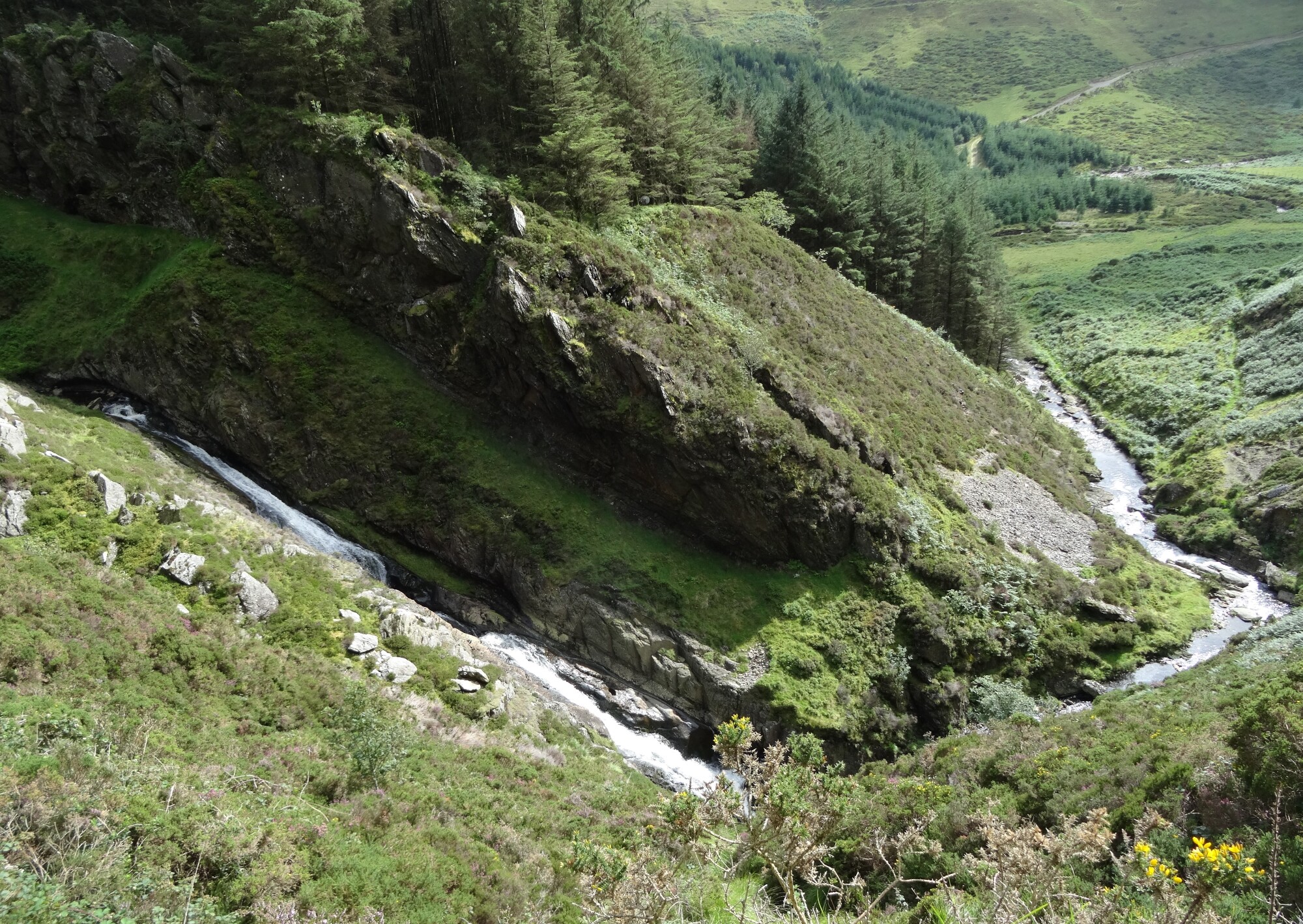 Craig y Pistyll Gorge and Llyn Syfydrin - Rachel Seabrook