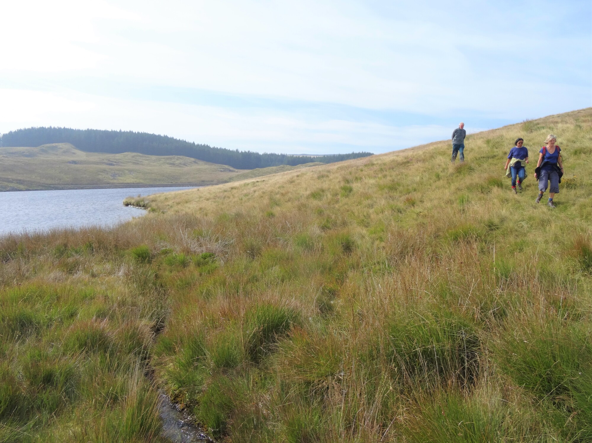 Craig y Pistyll Gorge and Llyn Syfydrin - Rachel Seabrook