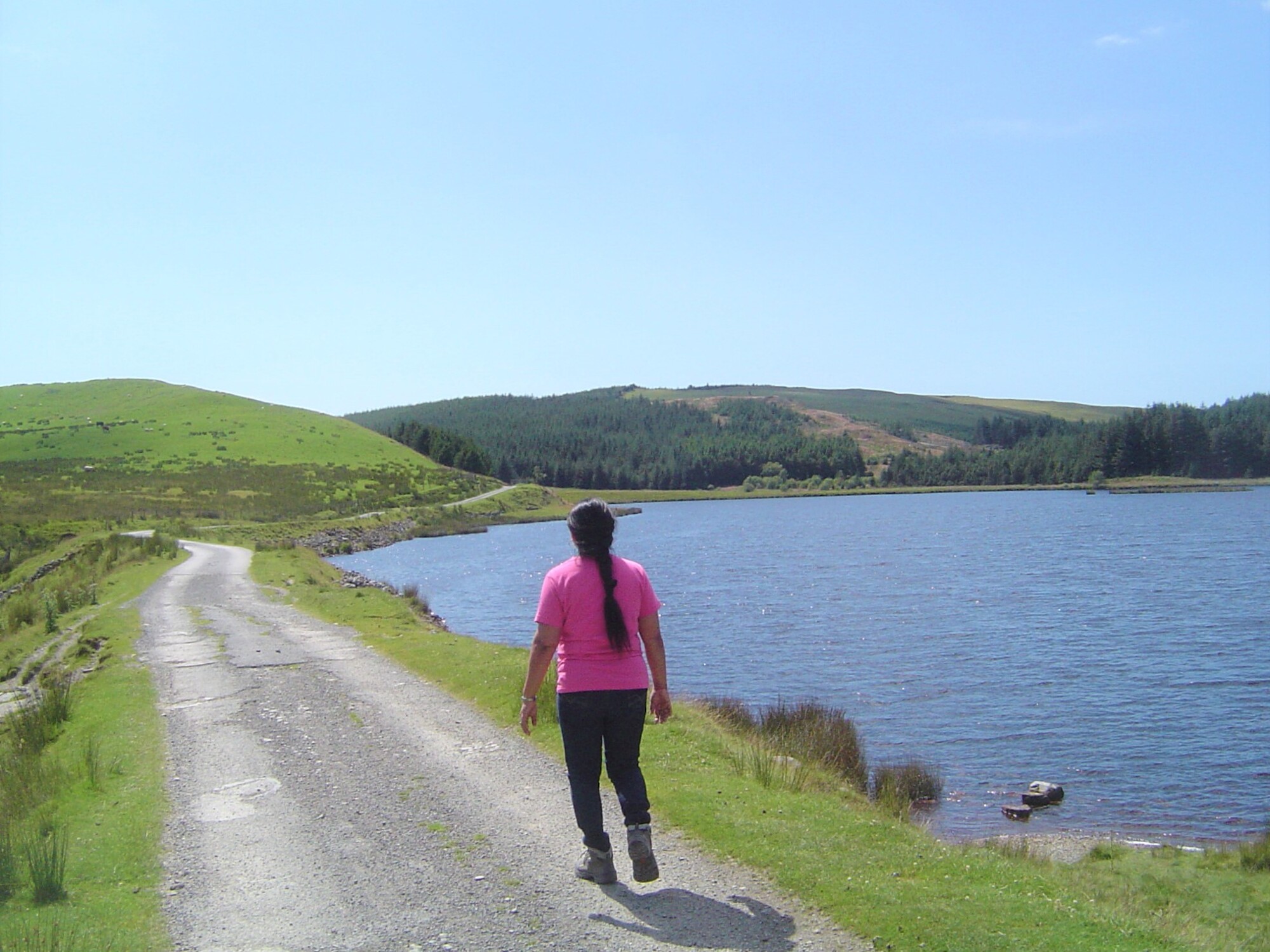 Craig y Pistyll Gorge and Llyn Syfydrin - Rachel Seabrook