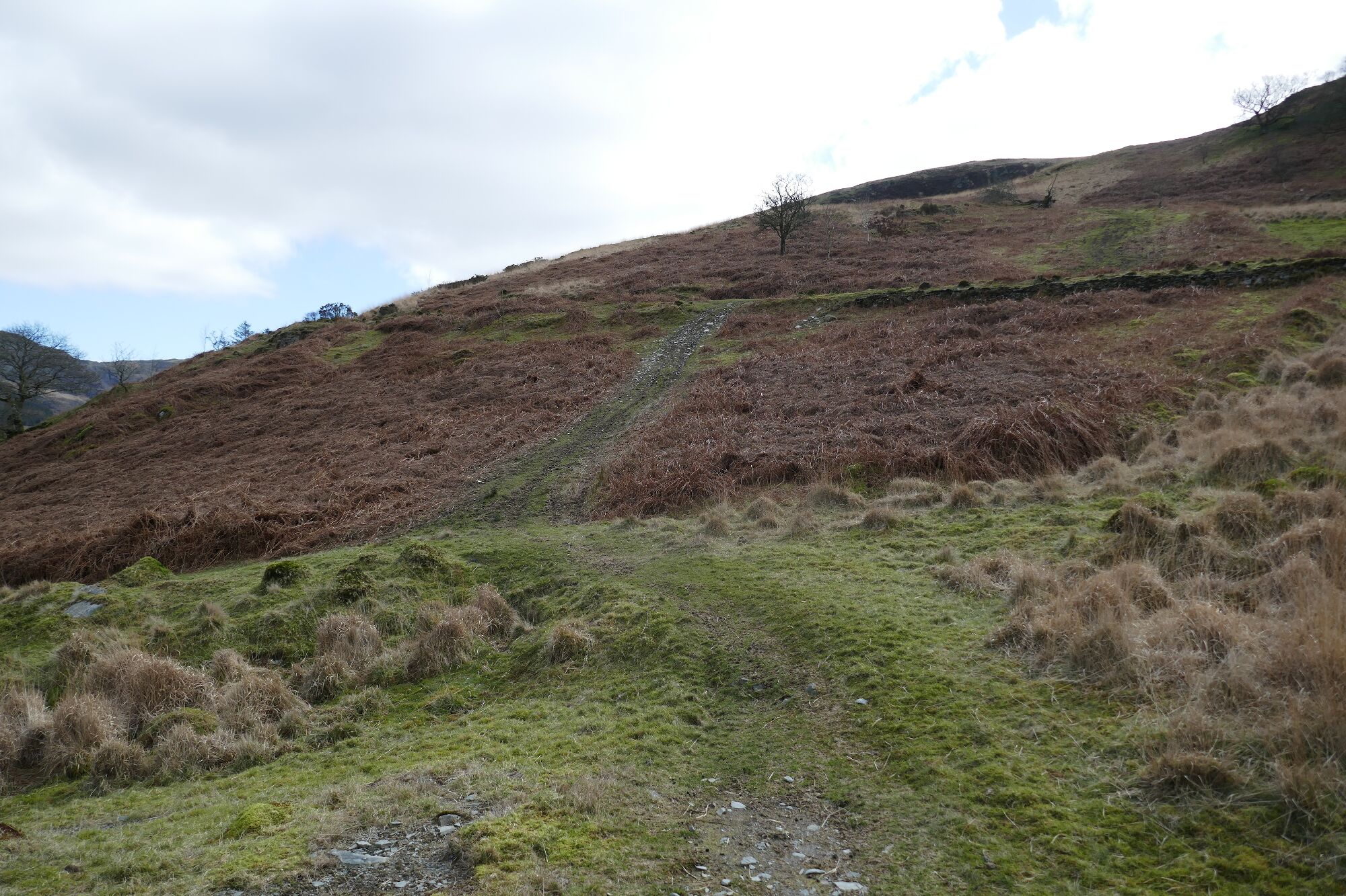 Cwm Cyneiniog, Esgair Goch (455m/1,493 ft), and Pen Craig y Pistyll ...