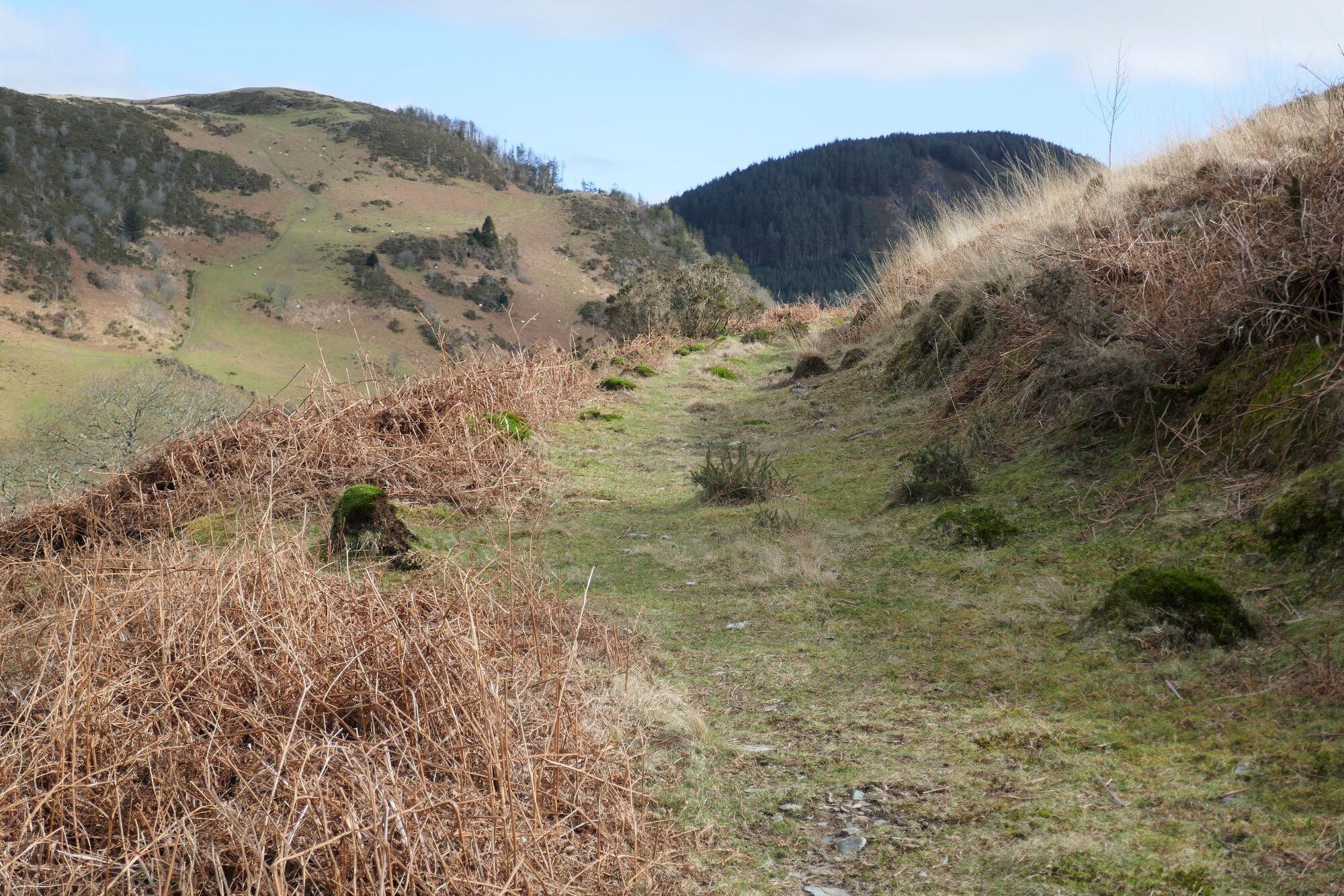 Cwm Cyneiniog, Esgair Goch (455m/1,493 ft), and Pen Craig y Pistyll ...
