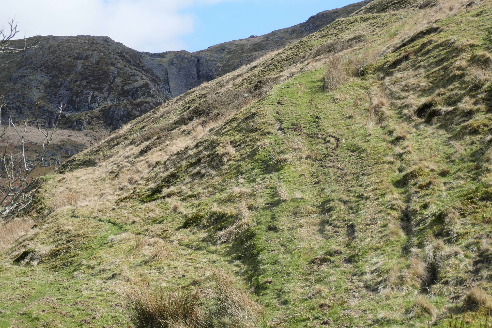 Cwm Cyneiniog, Esgair Goch (455m/1,493 ft), and Pen Craig y Pistyll ...