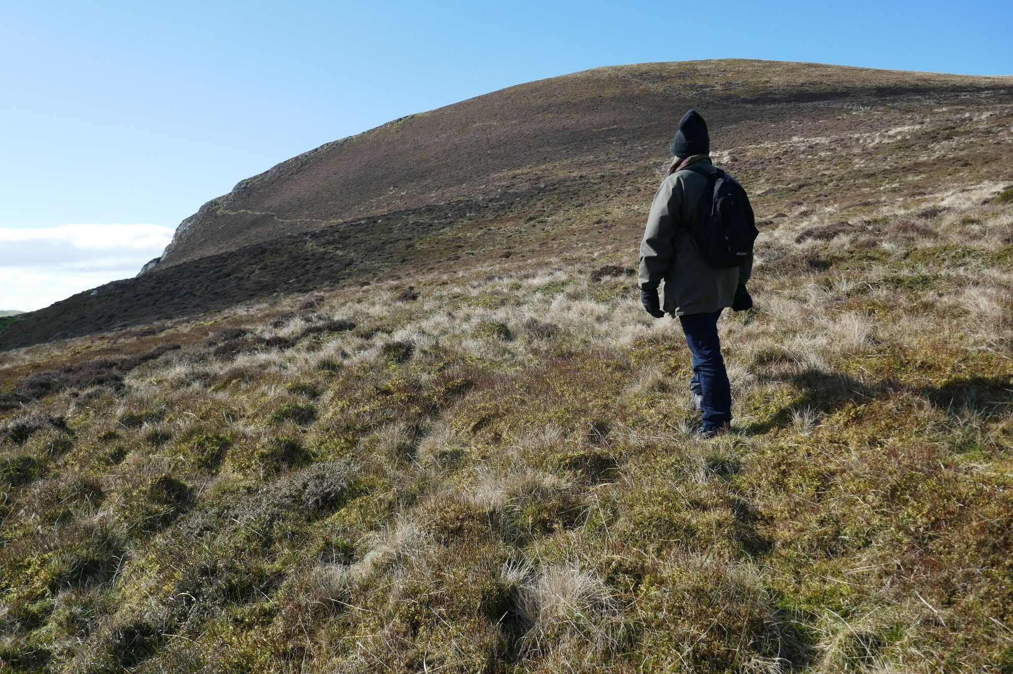 Cwm Cyneiniog, Esgair Goch (455m/1,493 ft), and Pen Craig y Pistyll ...