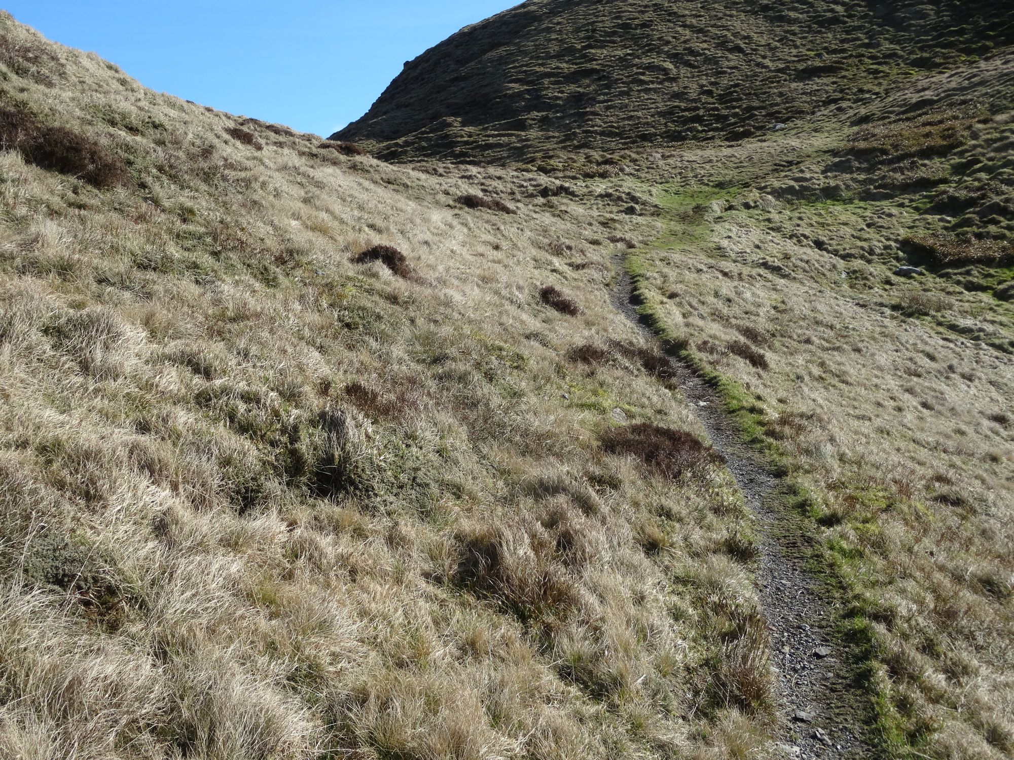 Pumlumon Fawr (752m/ 2,468ft) via Maesnant - Rachel Seabrook