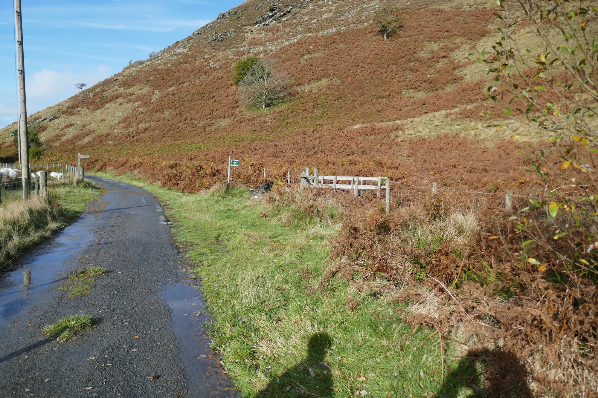 Teifi Pools - Rachel Seabrook