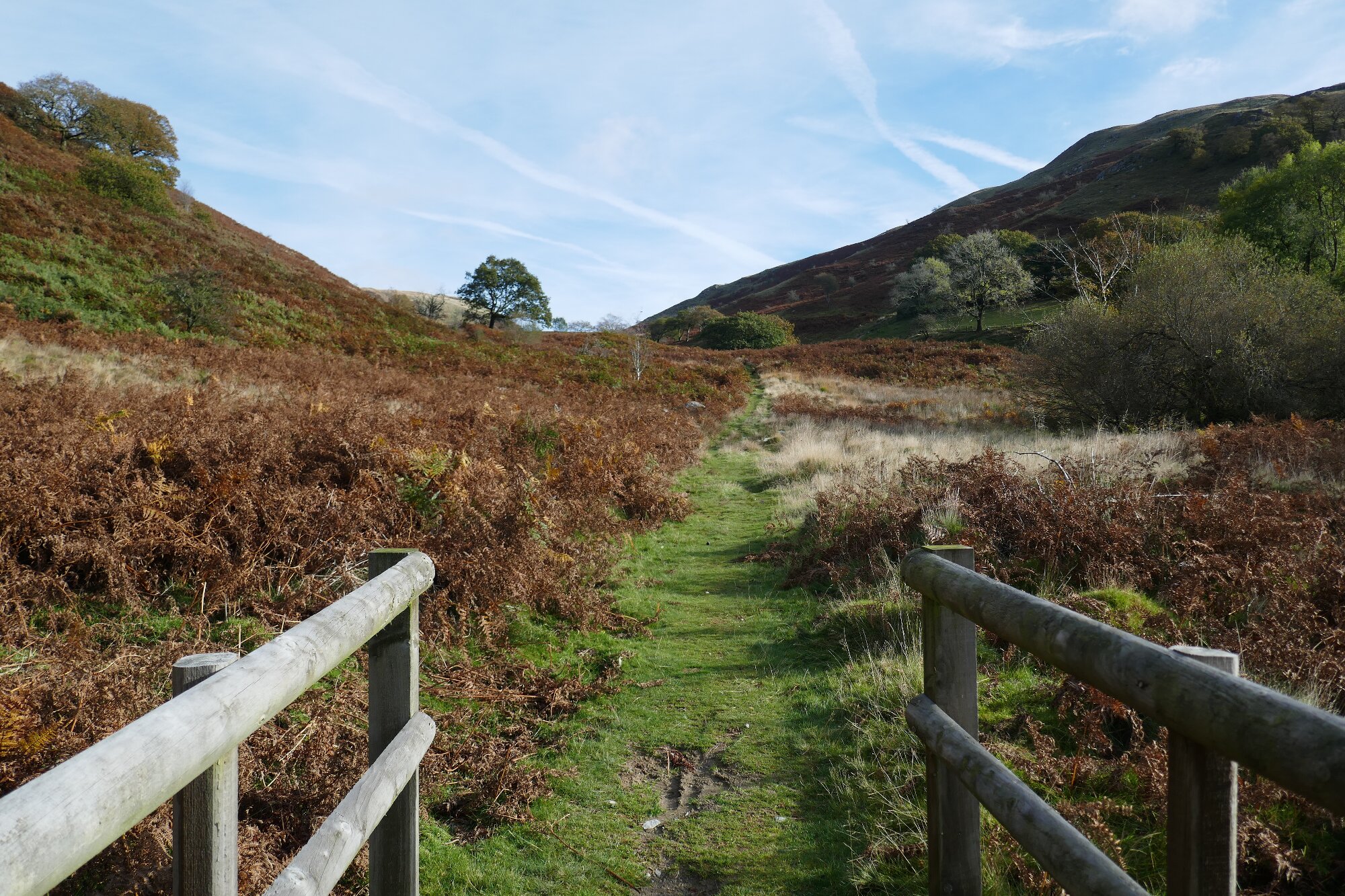 Teifi Pools - Rachel Seabrook